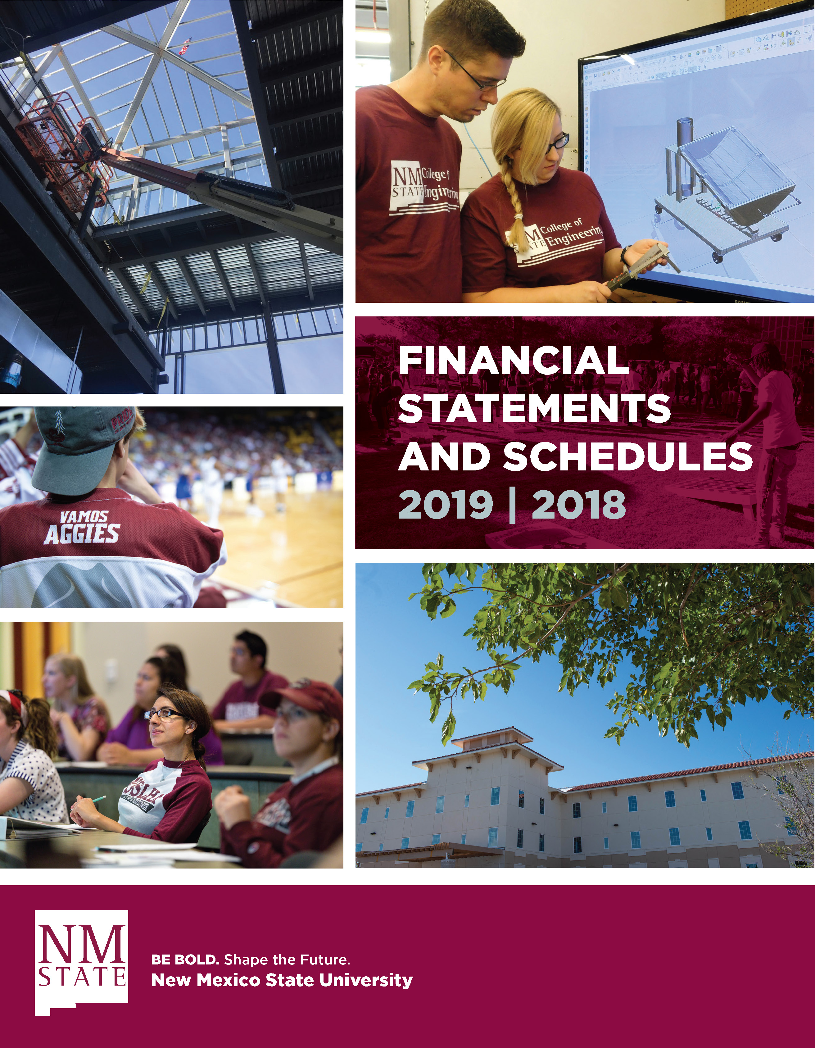 Financial Statements and Schedules | New Mexico State University | BE ...