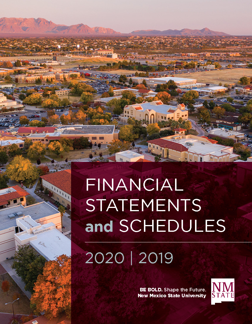 Financial Statements and Schedules | New Mexico State University | BE ...